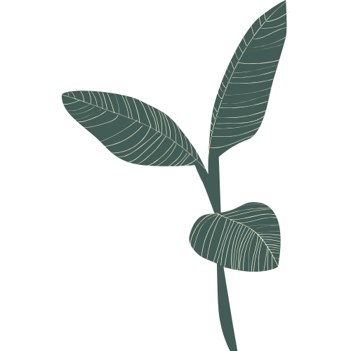 Bilateral tubal ligation methods: An overview - SterilizationAunty